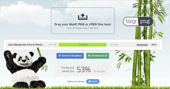 Aplikasi Desain Gratis: Alternatif Adobe yang Wajib Coba