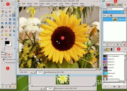 Aplikasi Desain Gratis: Alternatif Adobe yang Wajib Coba